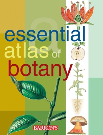Amazon.com: Essential Atlas of Botany: 9780764127090: Parramon Studios ...
