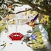 Amazon.com : 2Pack Sherem Sweety Hummingbird Feeder, 2024 New Feeding ...