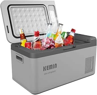 Amazon.com: 24L car Small Refrigerator 24v Truck refrigerating ...