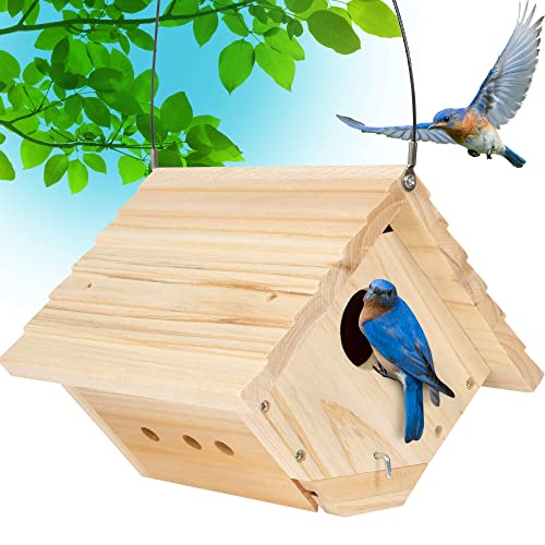 Best Hanging Bird Houses: Transform Your Garden into a Chirping ...