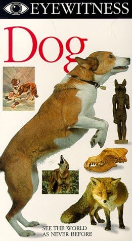Eyewitness: Dog: Amazon.ca: Movies & TV Shows