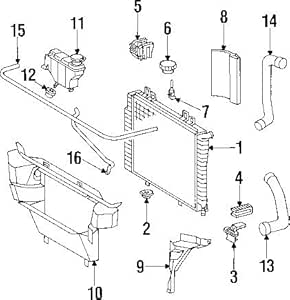 Amazon.com: Mercedes-Benz 202 501 27 82, Radiator Coolant Hose : Automotive