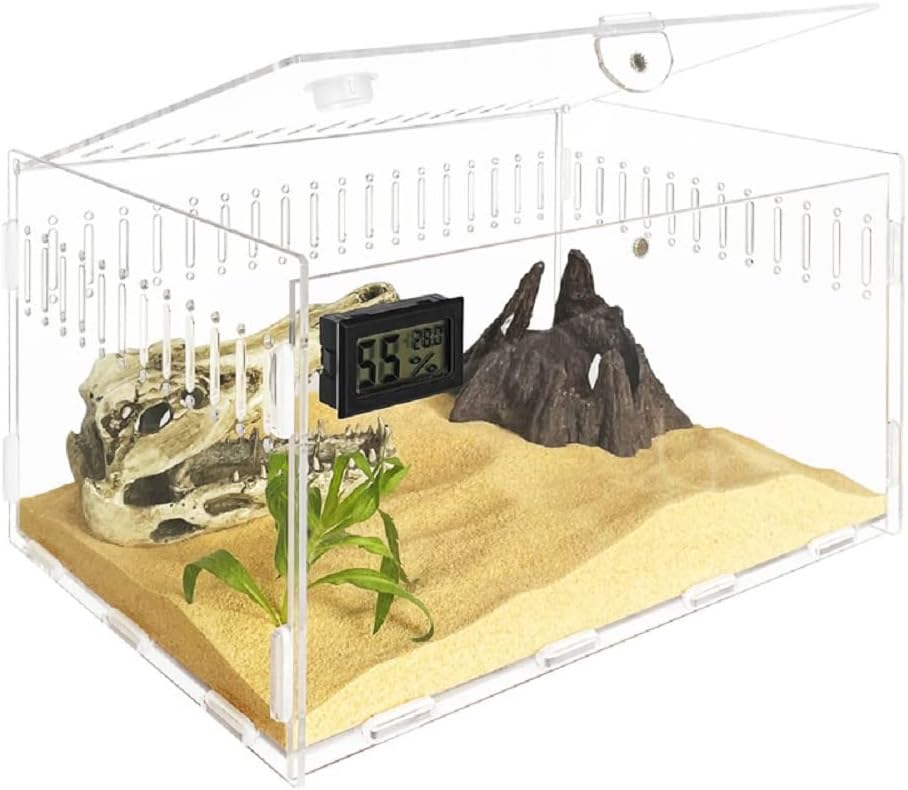 Amazon.com : Acrylic Reptile Feeding Box, Micro Habitat Terrariums with ...