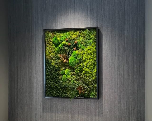 Amazon.com: Unique Moss Wall Art - Preserved Live Moss Art Framed ...