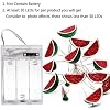 Amazon.com : KAKANA LED String Lights Fruit Theme Watermelon String ...