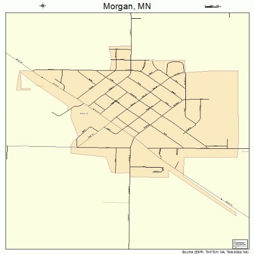 Large Street & Road Map of Morgan, Minnesota MN - Printed poster size ...