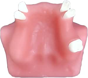 Amazon.com: GFAZXDS Maxillary Sinus Lifting Exercise Model Dental ...