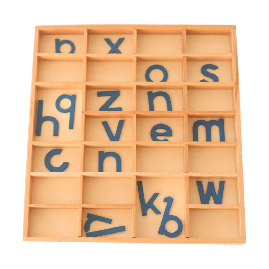 Wooden Montessori Movable Alphabets Box Letters for Children ...
