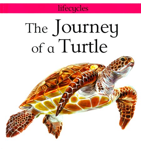 The Journey of a Turtle (Lifecycles): Scrace, Carolyn, Salariya, David ...