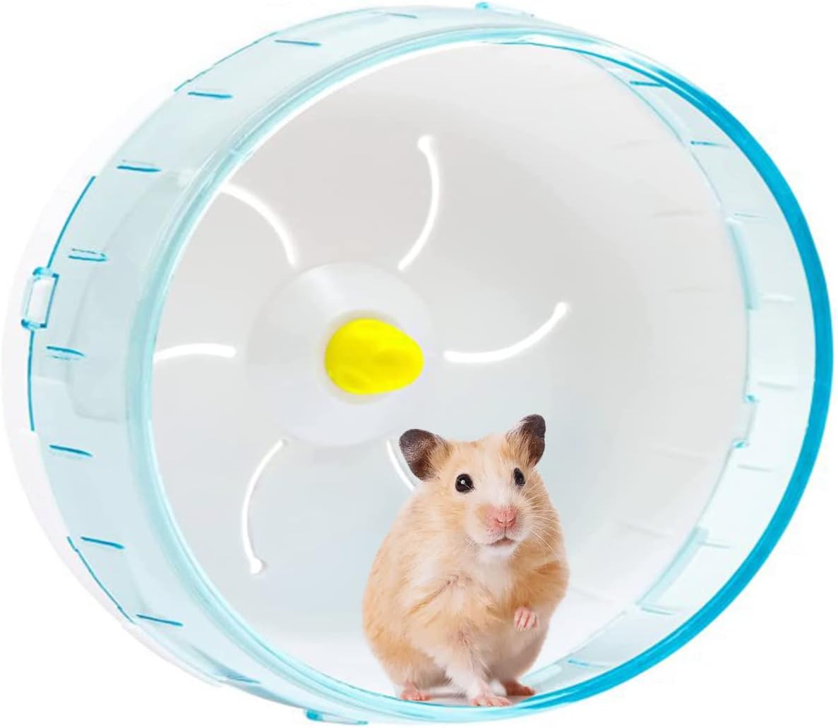 Amazon.com : Small Animal Comfort Exercise Wheel for Pet Syrian ...