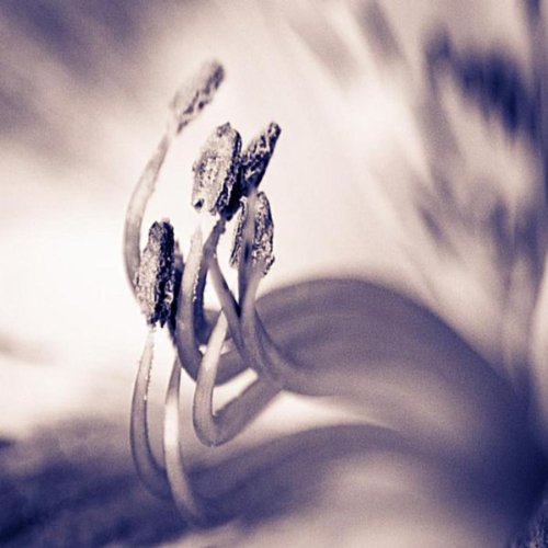 Play Daylight (Radio Silence Part IV) by Exovex on Amazon Music