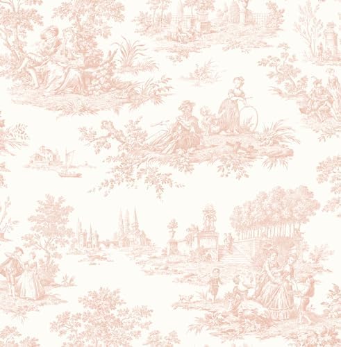 NextWall Chateau Toile Vintage Prepasted Wallpaper (Blush) - Amazon.com