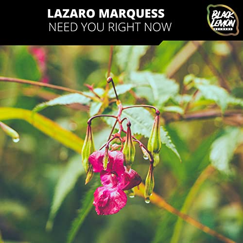 Amazon.co.jp: Need You Right Now! : Lazaro Marquess: Digital Music