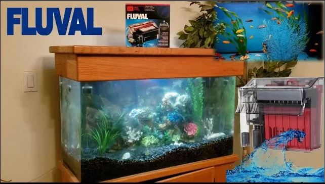 Watch Fluval C3 Power Aquarium Filter | Clean Water ＝ Healthy Fish on ...