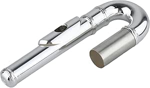Amazon.com: Flute Mouthpiece Pipe Accessories Accessories Easy ...