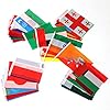 Amazon.com: Kind Girl 48 Pack Asian Country Flags, Small International ...