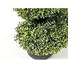Amazon.com - 35 Inch Artificial Boxwood Topiary Tree Spiral Plants Fake ...
