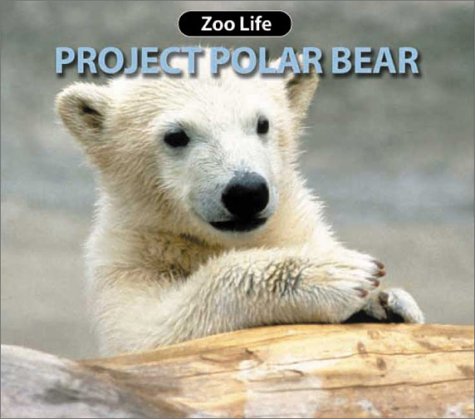 Project Polar Bear (Zoo Life): Nault, Jennifer: 9781590360606: Amazon ...