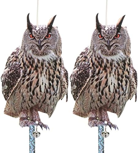Amazon.com : 2PCS Fake Owl Hanging Plastic Owl to Scare Squirrel for ...