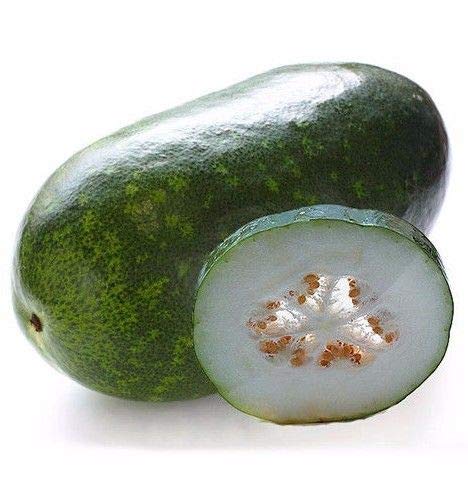 Arlo Vegetable seeds Ash Gourd (Wax gourd/Winter melon) Vegetable Seed ...
