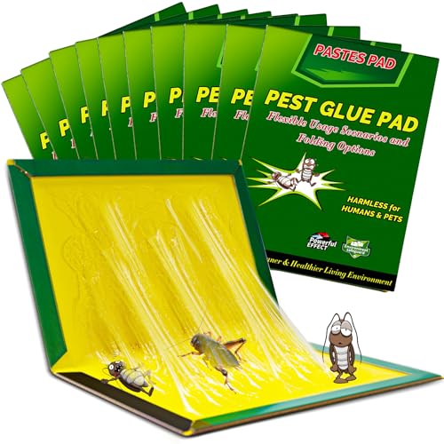 Amazon.co.uk Best Sellers: The most popular items in Pest Control Products