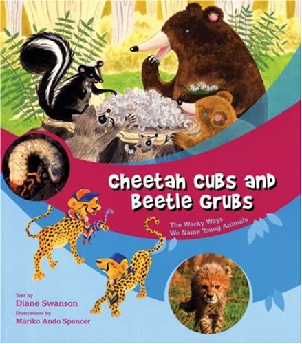Cheetah Cubs and Beetle Grubs: The Wacky Ways We Name Young Animals ...