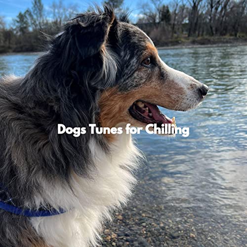 Dogs Tunes for Chilling by Doggy Music Moods, Cute Doggy Music on ...