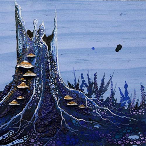 Amazon.com: Panacea : Uncle Stump: Digital Music