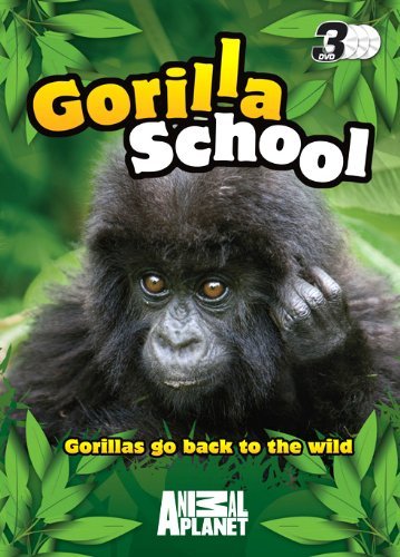 Gorilla School [DVD]: Amazon.de: DVD & Blu-ray