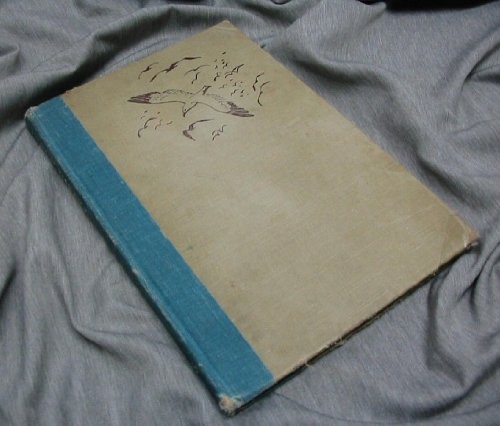 Light at Tern Rock: Sauer, Julia L.: 9780670428366: Amazon.com: Books