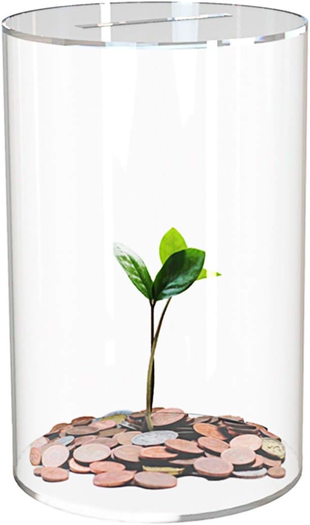 Amazon.com: Clear Piggy Bank for Adults Kids, Acrylic Piggy Bank for ...
