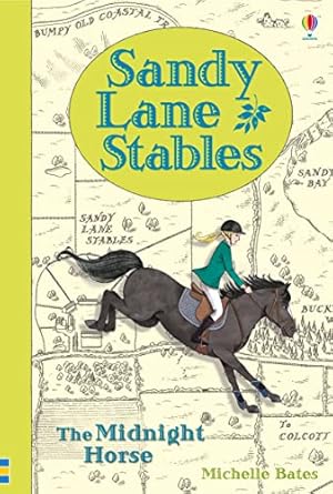 Sandy Lane Stables The Midnight Horse (Young Reading Series 4) : Bates ...