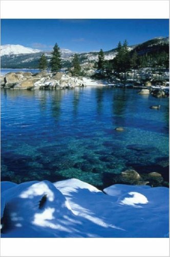 Five Reasons To Be A Star: Sarah Barter: 9781411634466: Amazon.com: Books