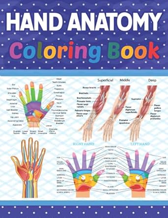 Hand Anatomy Coloring Book: Human Hand Anatomy Workbook For Kids. Human ...
