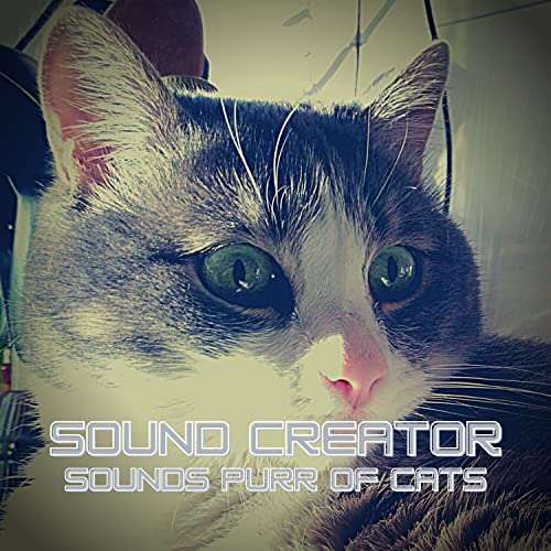 Sounds Purr of Cats by Sound Creator on Prime Music