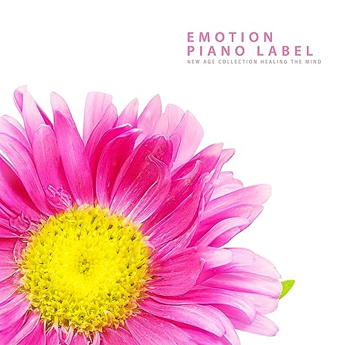 Amazon.com: New Age Collection Healing The Mind : VARIOUS ARTISTS ...