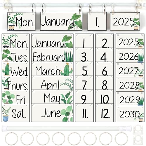 Best Plants and Botanical Decorations for Classroom Spaces – Patio Tip