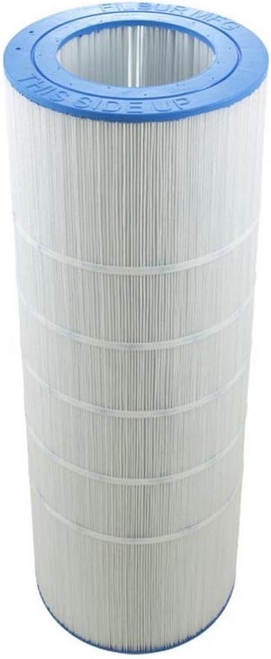 Amazon.com : Pentair 160315 Clean and Clear Replacement 75 Square Foot ...