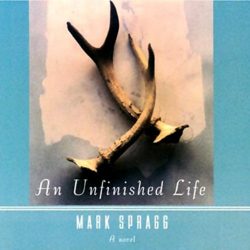 Amazon.com: An Unfinished Life (Audible Audio Edition): Tony Amendola ...