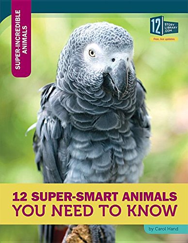 12 Super-Smart Animals You Need to Know (Super-incredible Animals ...