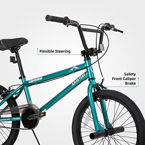 Buying Guide | JOYSTAR Gemsbok 20 Inch Kids Bike Freestyle BMX Style for 7-...