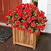Amazon.com: Ivydale Artificial Faux Red Flowers Plants for Outdoor ...