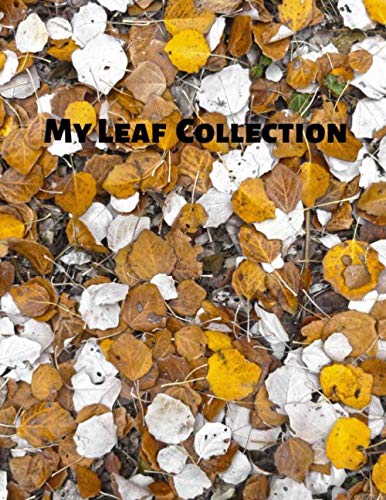 My Leaf Collection: Activity Book for Adults and Kids of All Ages in 8. ...