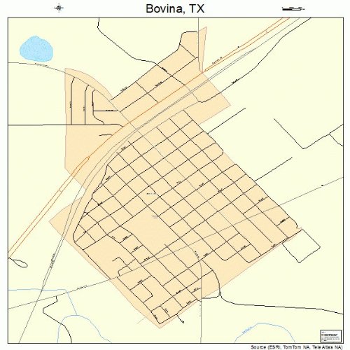 Amazon.com: Large Street & Road Map of Bovina, Texas TX - Printed ...