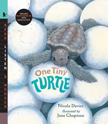One Tiny Turtle with Audio: Read, Listen, & Wonder: Davies, Nicola ...