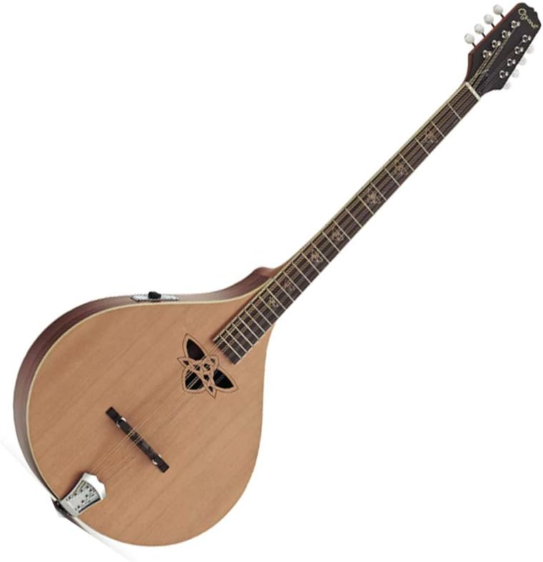 Ozark 2243E Celtic Electro-Acoustic Bouzouki : Amazon.co.uk: Musical ...