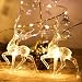 Amazon.com: Christmas Lights Reindeer String Lights - 5 ft 10 LED Warm ...