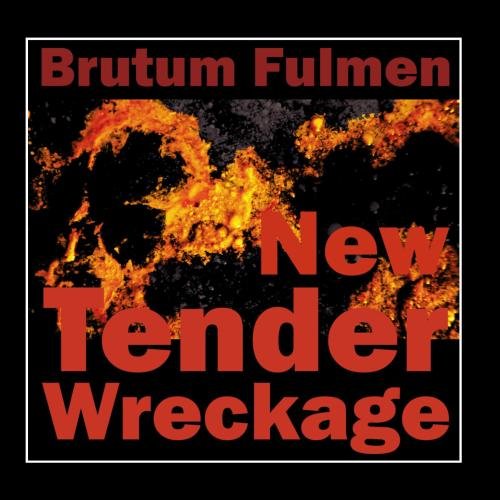 Amazon.com: New Tender Wreckage: CDs & Vinyl