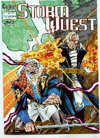 Storm Quest #5: No information available: Amazon.com: Books