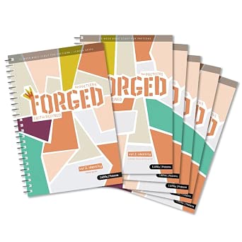 Forged: Faith Refined, Volume 2 Small Group 5-Pack: Lifeway Kids ...